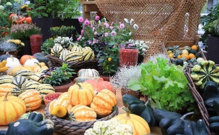 16 Amazing Bible Verses for Fall and Winter Seasons